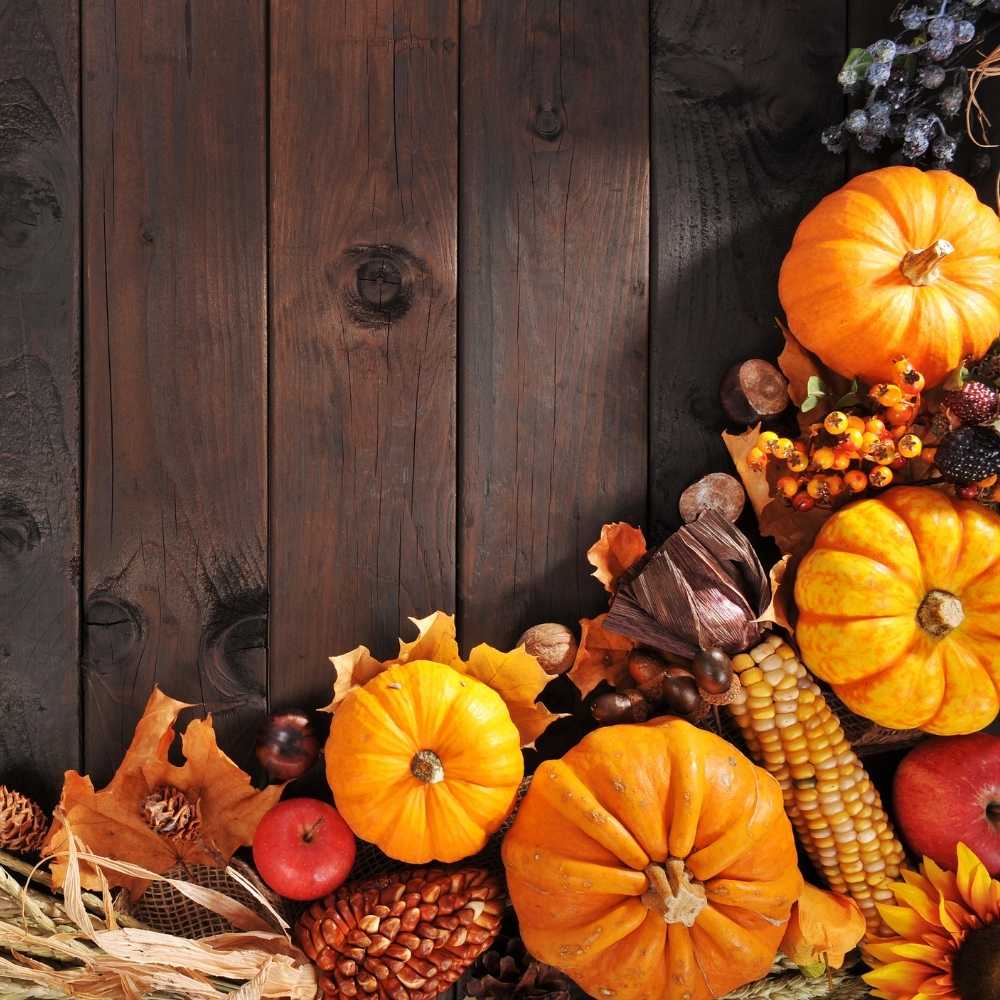 9 Easy Ways to Prevent Food Waste at Thanksgiving – Zero Waste Cartel
