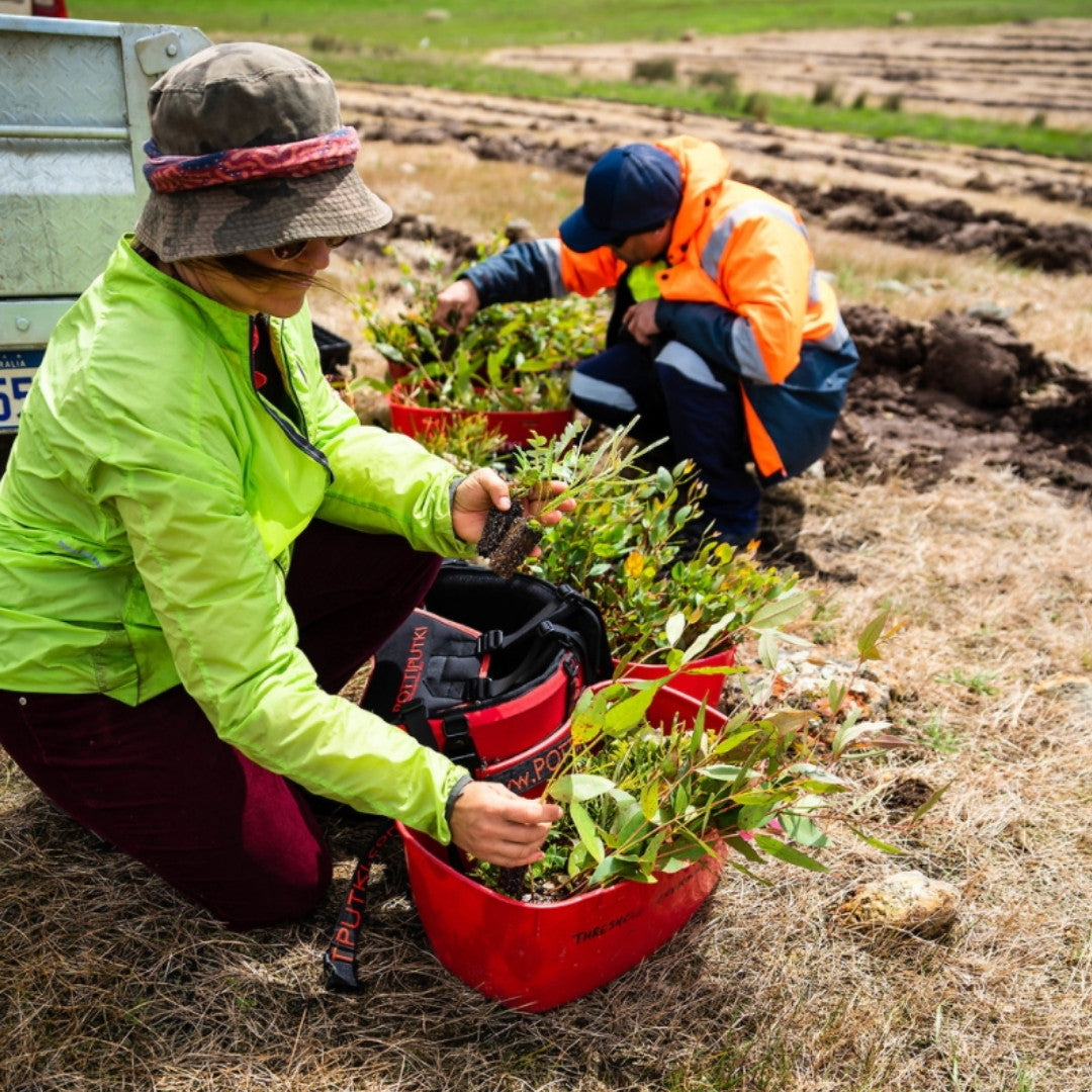 Mission & Tree Planting – Zero Waste Cartel