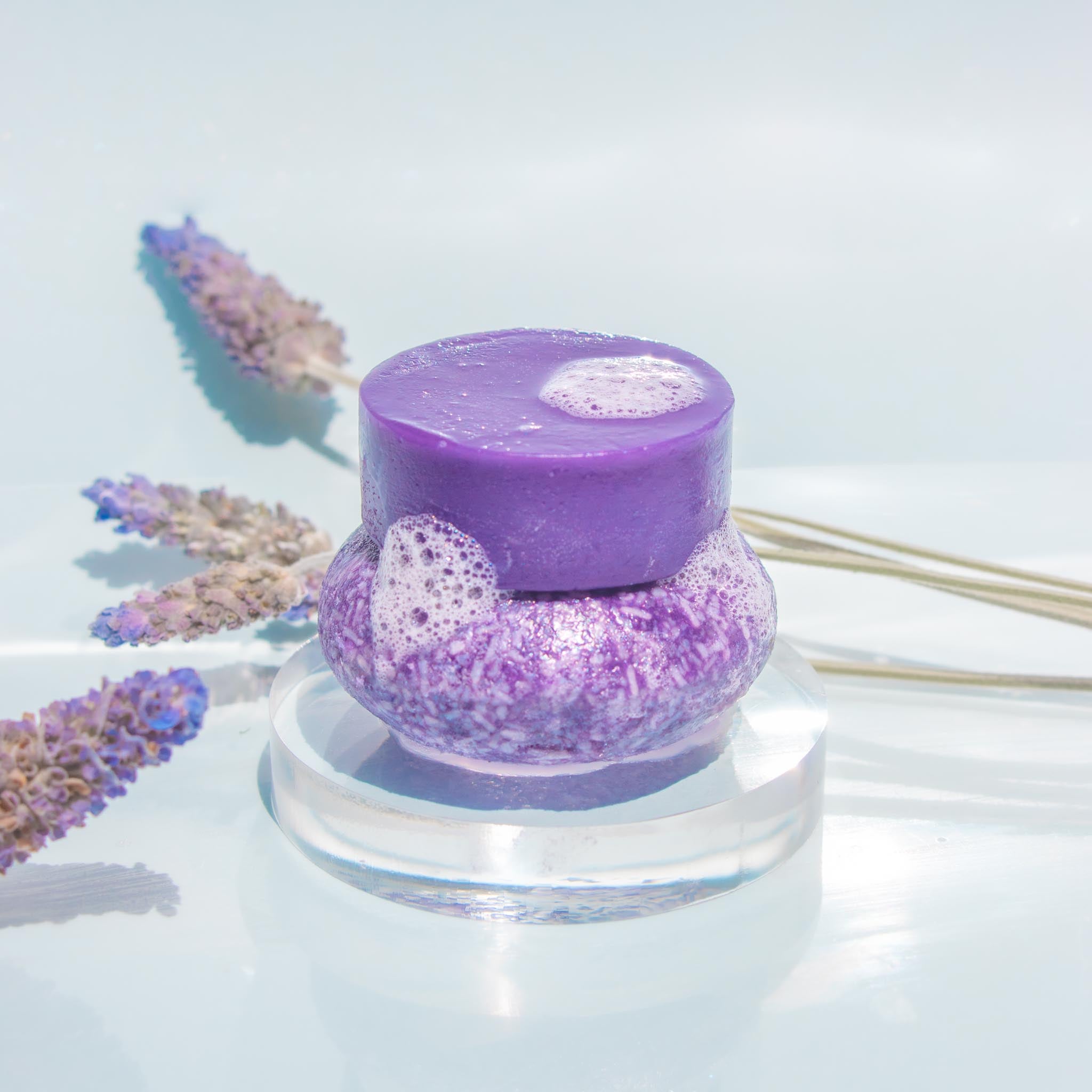 Lavender Purple Shampoo & Conditioner Bars - for Blond & Gray Hair ...